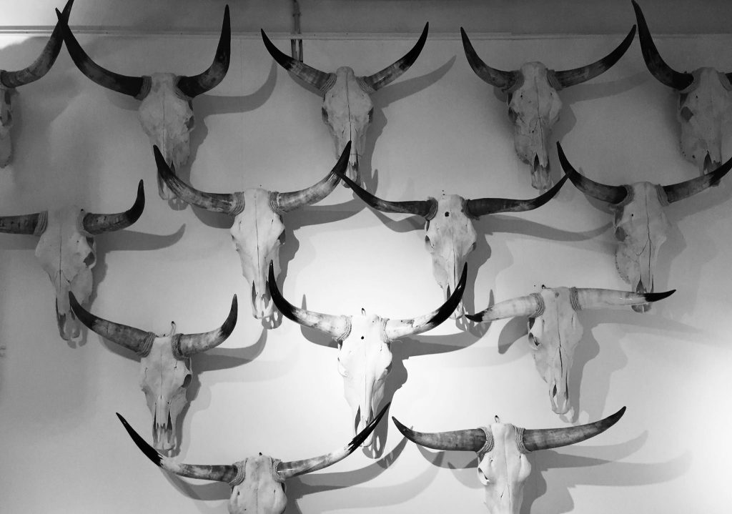 My Diligence / b / sludge/stoner metal - DreamKatcher